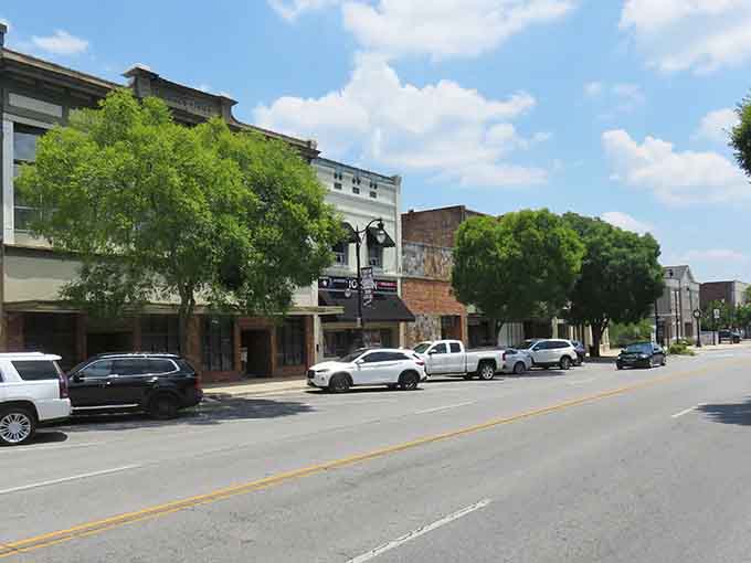These tree-lined streets offer shade, charm, and proof that small-town America still knows how to do downtown right.