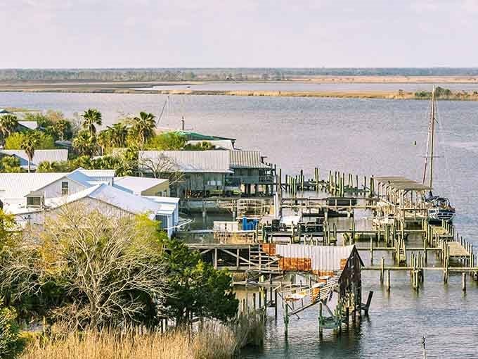 The working waterfront of Apalachicola stretches out like a postcard that forgot to exaggerate anything for effect.