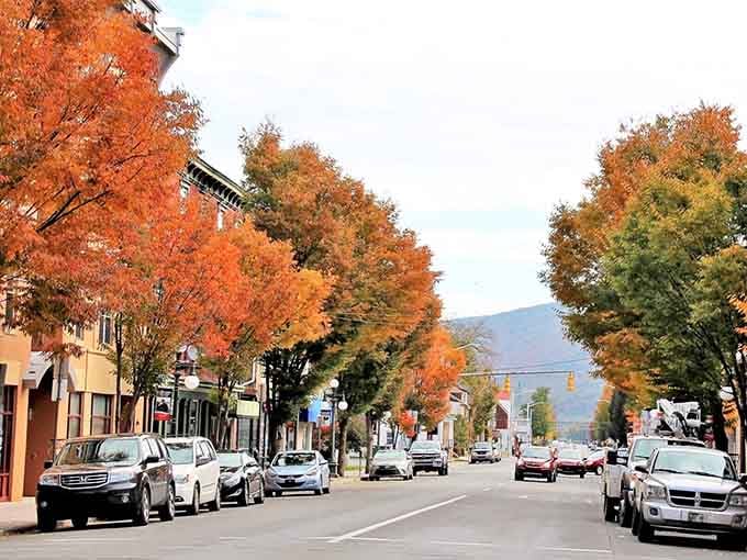 Lock Haven spreads along the Susquehanna like a postcard that forgot to charge resort prices for the view.
