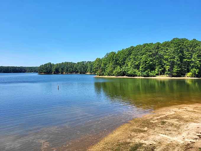 Clear water, sandy beach, and towering pines &ndash; nature's version of the perfect trifecta.