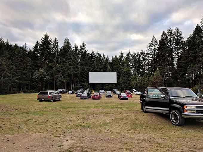 That massive screen rising against the evergreens is your portal to movie magic, Pacific Northwest style.
