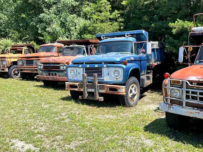 Those vintage trucks aren&rsquo;t just transportation, they&rsquo;re works of art on wheels.