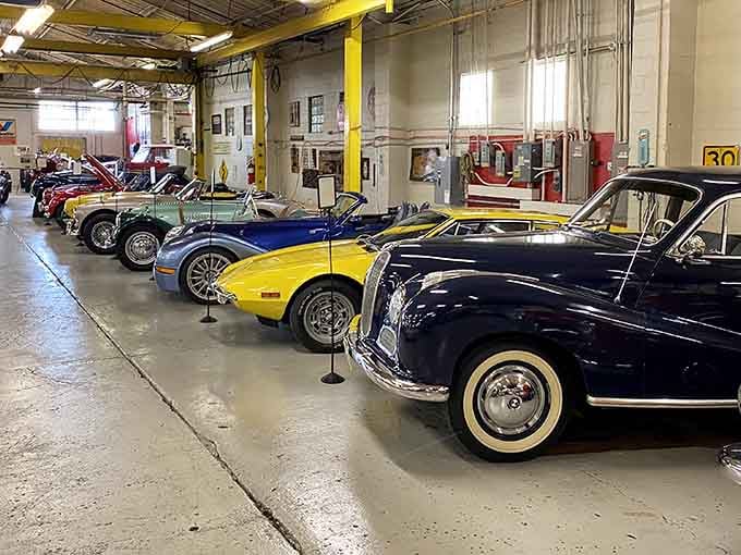 Classic beauties lined up like they're ready for the world's most stylish parade through automotive history.