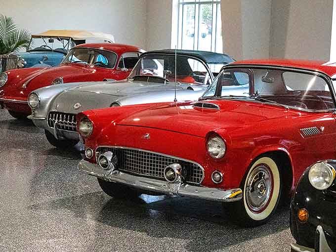 Classic American beauties lined up like they're ready for the world's most stylish parade.