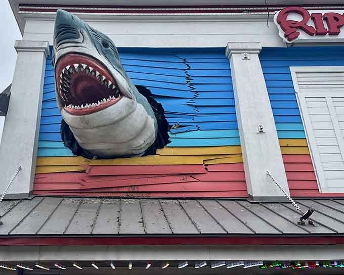 That shark bursting through the rainbow siding isn't subtle, but then again, neither is Ocean City's charm.