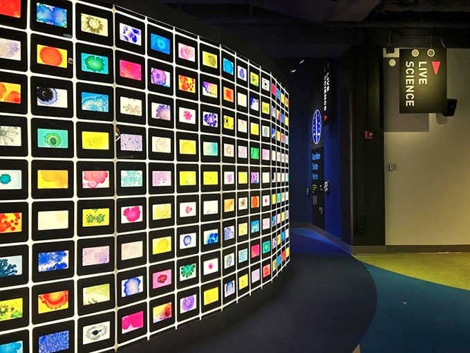 Science meets art in this colorful wonderland where every exhibit begs you to touch, explore, and question reality itself.