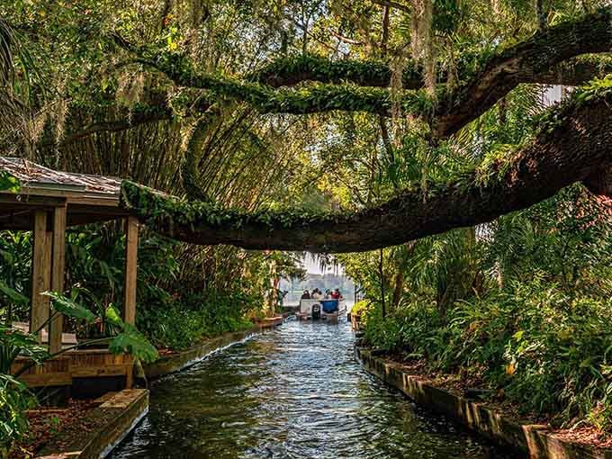 Paddling under bridges that look like they were borrowed from a European postcard, Spanish moss included.