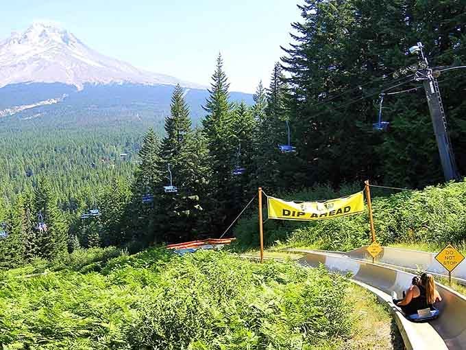 The "Dip Ahead" sign is basically the mountain's way of saying "hold onto your hat, things are about to get interesting."