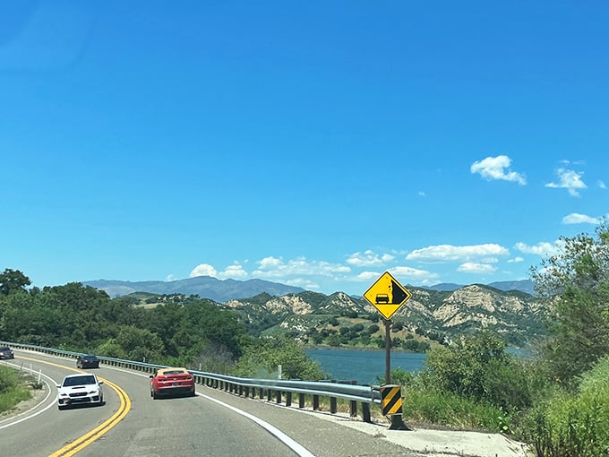 Lake Cachuma glimmers below while mountain curves test your steering wheel skills and your passenger's nerves equally.