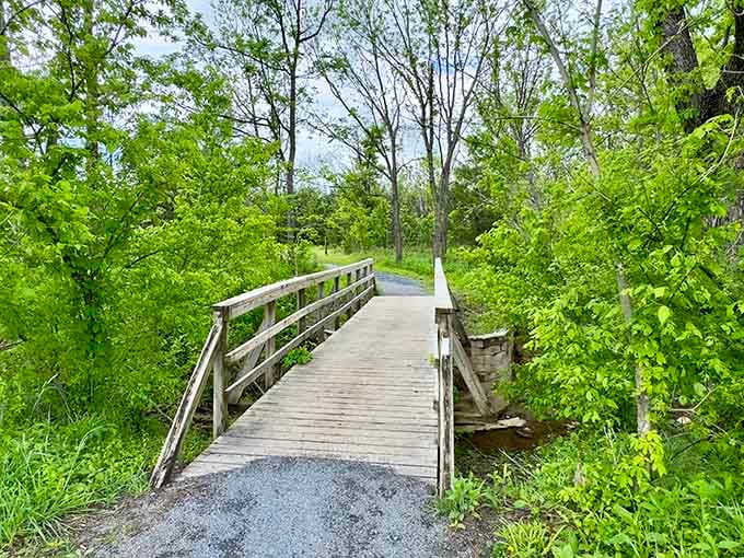 Every great journey begins with a single step, preferably one that leads to views this spectacular.