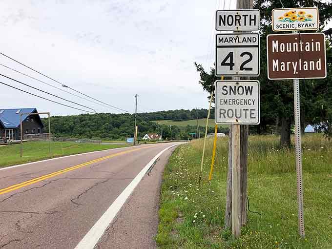 When you see this sign, you know you're about to trade traffic jams for mountain magic.