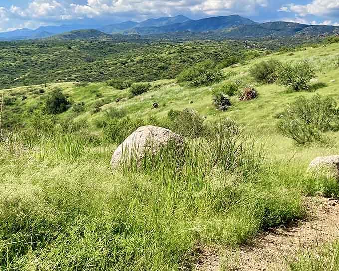 Those rolling green hills prove Arizona has more tricks up its sleeve than just cacti and tumbleweeds.