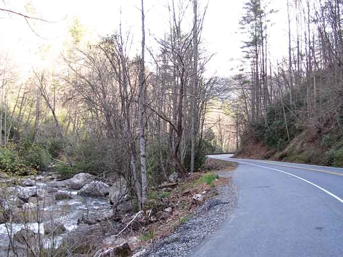 Winter's touch transforms the roadside into a crystalline wonderland where ice meets asphalt in perfect harmony.