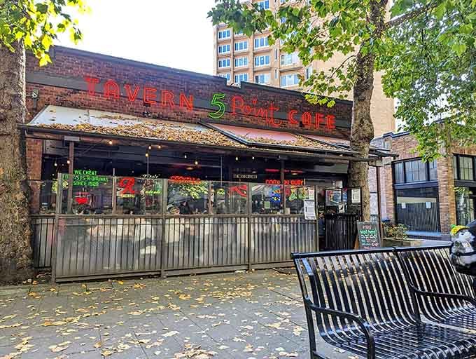 Sunlight illuminate this Belltown institution, ready to welcome night owls and early birds alike always.