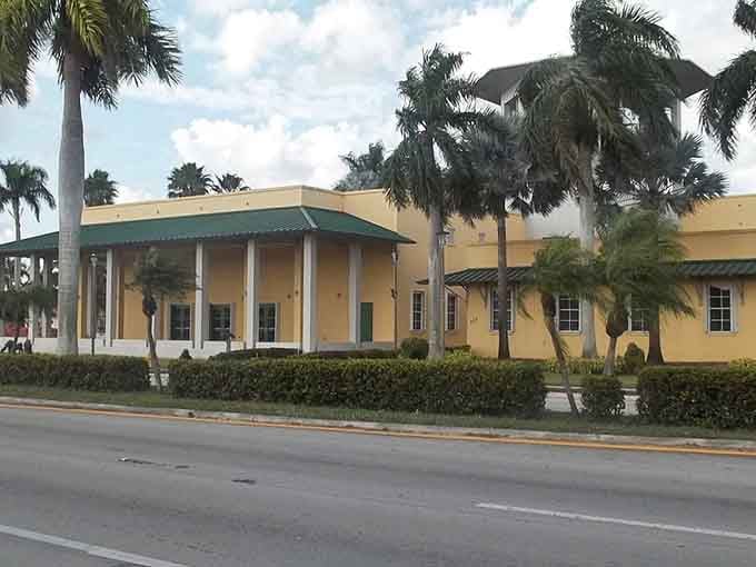 Palm trees and practical architecture living together in perfect harmony, like a buddy comedy that actually works.