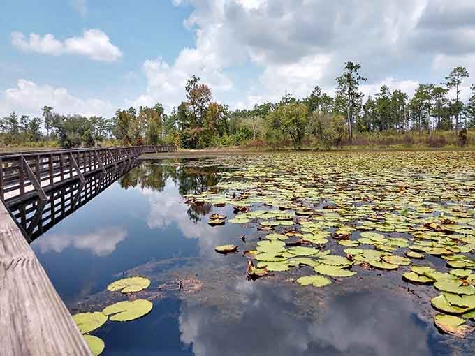When the water mirrors the sky this perfectly, you start questioning which way is up, like Inception but prettier.
