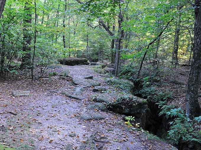 This delicate cascade tumbles over moss-draped rocks like nature's own fountain show, minus the admission fee.