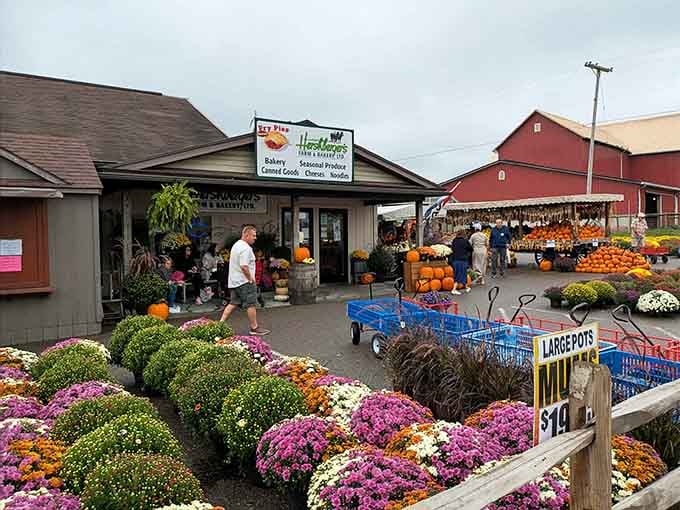 Hershberger's storefront promises home baked goods and seasonal produce, delivering exactly what small-town Ohio does best always.