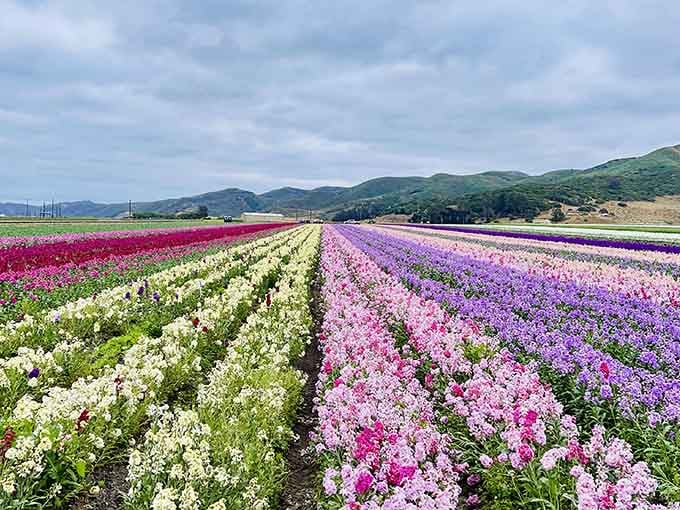 When Mother Nature decides to show off, she really commits to the bit with every color imaginable.