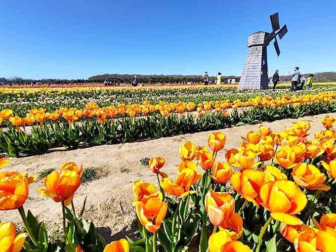 When Mother Nature decides to paint with every crayon in the box, this is what happens.