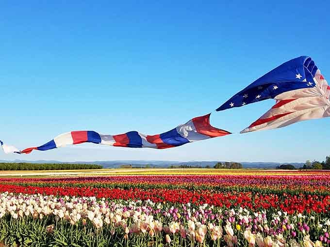 Stars, stripes, and endless petals create the most patriotic spring scene you'll find anywhere in the Pacific Northwest.
