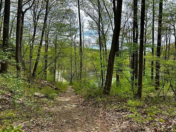 The trail beckons through spring's fresh greenery, promising views that'll make your Instagram followers actually jealous for once.