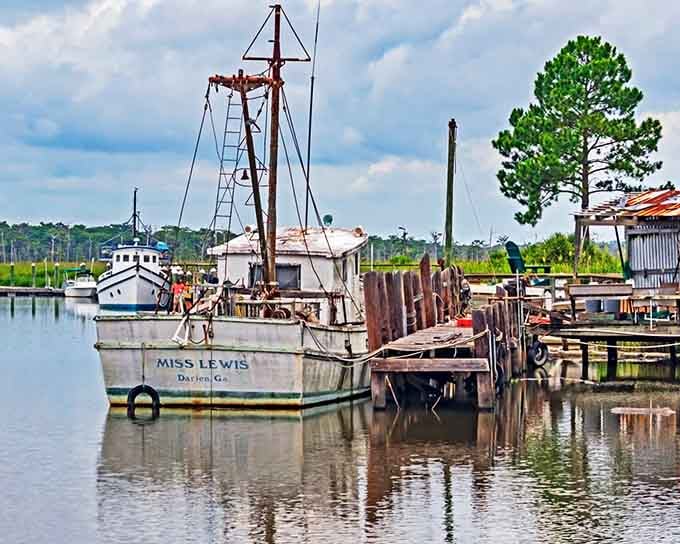 The Miss Lewis knows what she's doing, and she's been doing it long enough to earn that weathered, authentic charm.