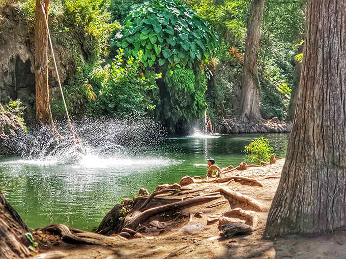 Crystal-clear spring water reflecting cypress trees creates a scene so serene, even your phone will forgive the spotty signal.