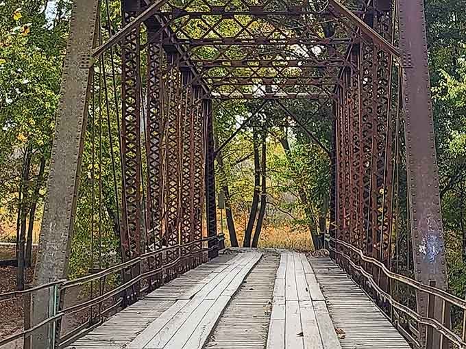 The metal truss rises like a cathedral of iron, framing nature's canopy in geometric precision that engineers once drew by hand.