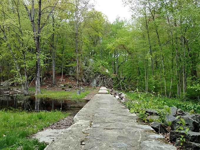 A peaceful path winds through lush greenery at Mianus River Park in Connecticut, inviting visitors to explore nature&rsquo;s quiet beauty.