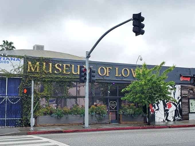 That ivy-covered exterior isn't just pretty, it's basically the museum giving you a green hug before you even walk in.