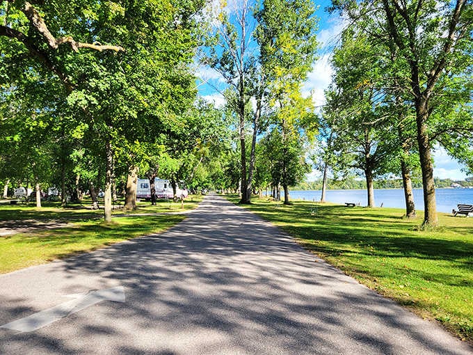 That first glimpse of Lake Carlos through the trees hits different when you realize you've been missing this your whole life.