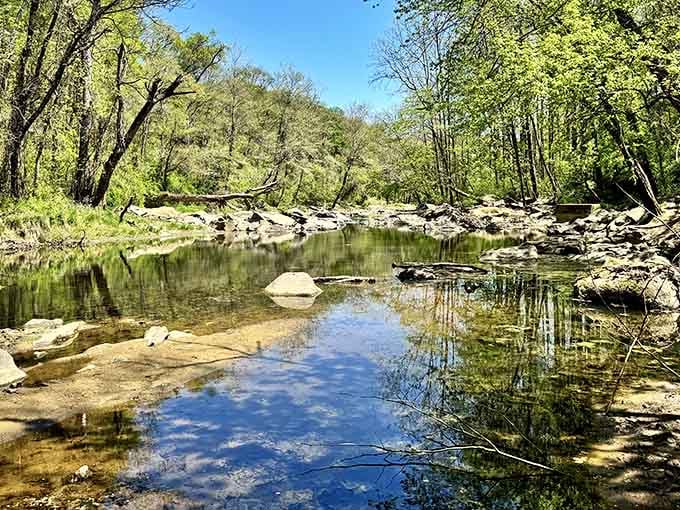 When the river mirrors the sky this perfectly, you've found nature's own meditation app, no subscription required.