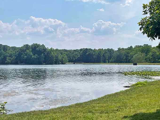 Lake Lincoln stretches out like nature's own mirror, reflecting clouds that would make any Instagram filter jealous.