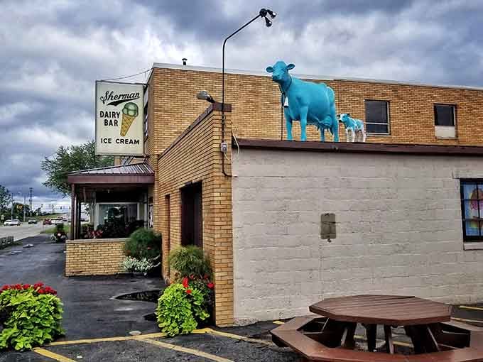 Look for the blue cows! Indulge in legendary, oversized scoops at Sherman's Dairy Bar, a must-visit South Haven summer tradition.