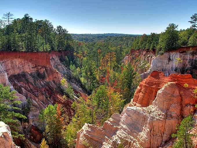 Those colors aren't Photoshopped, folks. This is what happens when Georgia decides to show off its natural palette.