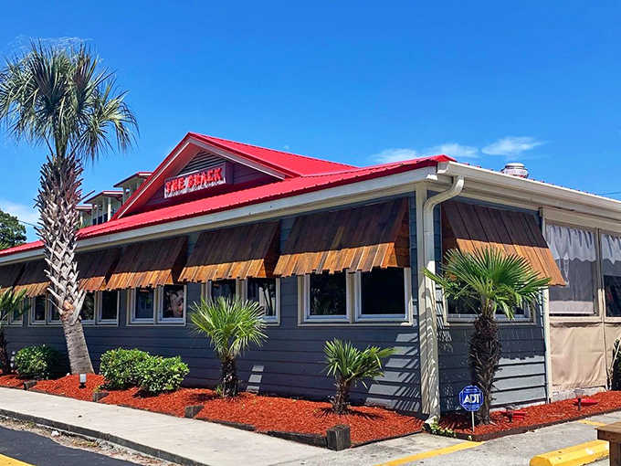 The Shack doesn't need fancy architecture when it's got palm trees, personality, and seriously good seafood inside.
