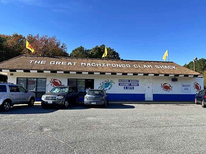 That turquoise and coral color scheme isn't just decoration; it's your appetite's personal invitation to paradise.