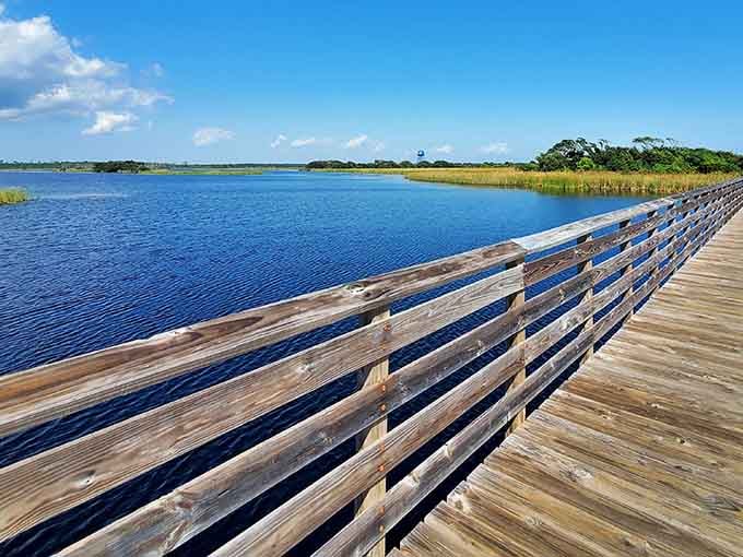 That iconic pier stretching into emerald waters, where fishing dreams and dolphin sightings happen daily.