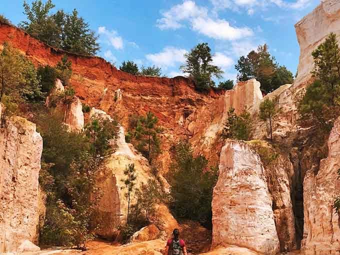 Walking among these towering spires feels like exploring another planet, except you didn't need a spaceship to get here.