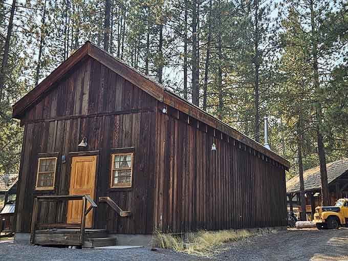 The same weathered equipment that built Oregon, now peacefully retired under towering timber.
