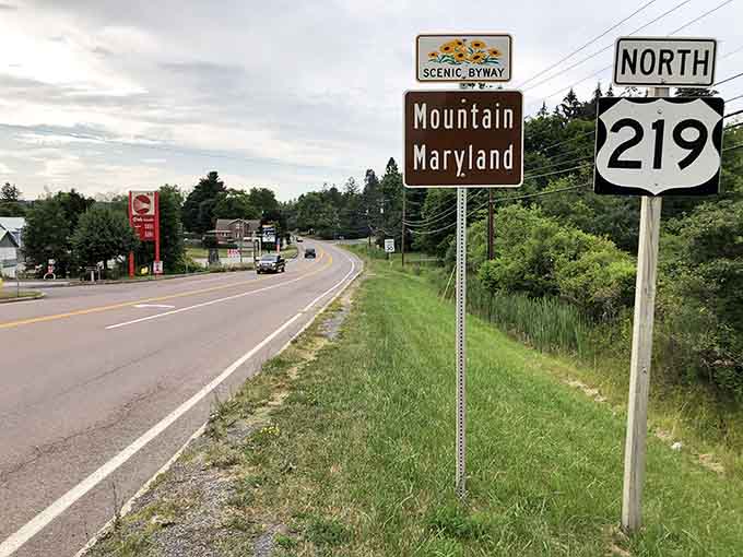 Route 219 North: where the journey matters more than the destination, and your GPS can take a backseat.