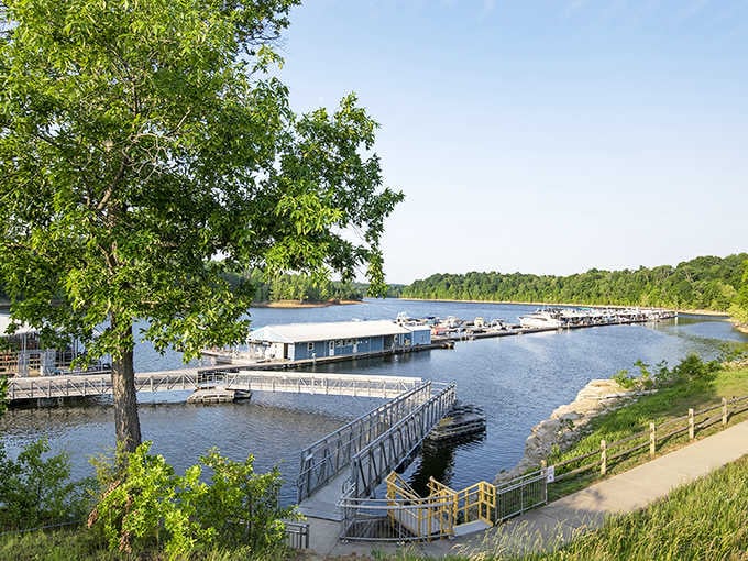 Those yellow railings lead to adventure, and that tree-lined shore whispers promises of perfect summer days ahead.