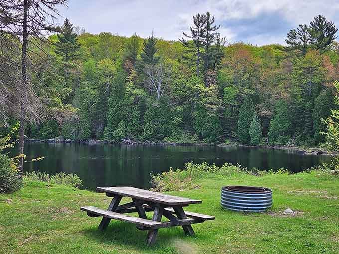 When a picnic table sits beside a view this inviting, it feels like nature set the perfect spot to slow down and stay awhile.