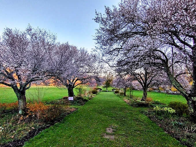 These flowering trees create a canopy so stunning, you'll forget you're still technically within commuting distance of Manhattan.