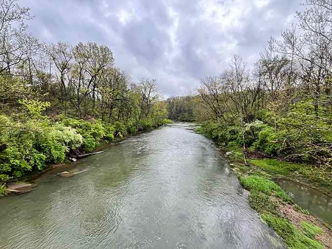 The Middle Fork flows through Kickapoo like a liquid highway, carving beauty through the landscape one ripple at a time.