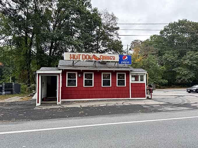 Classic roadside Americana at its finest, where the paint is bright and the memories are even brighter.
