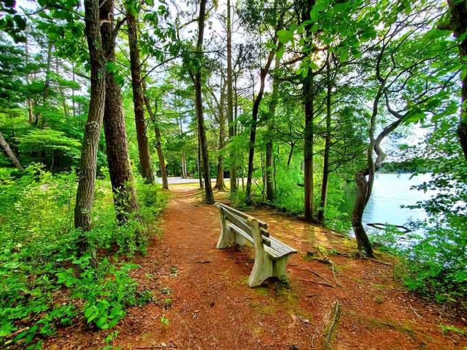 When the trail hugs the water this close, every step feels like nature's showing off just for you.