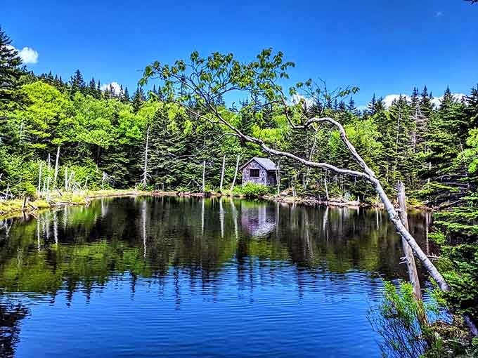 This mirror-still pond reflects the forest so perfectly, you'll spend ten minutes trying to figure out which way is up.