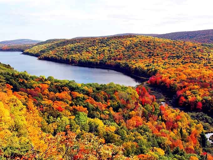 When fall decides to show off in Michigan, this is what happens – pure magic in every direction.
